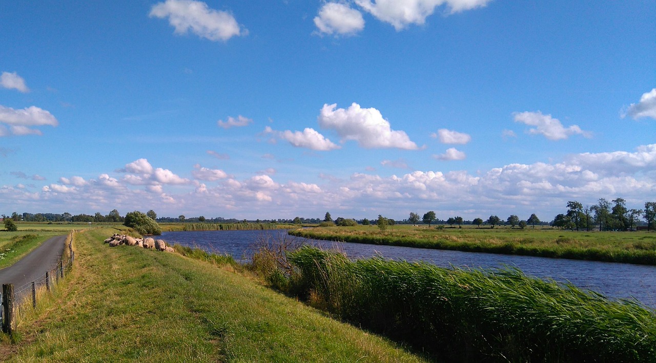 Ostfriesland Weite Deich - Kostenloses Foto auf Pixabay