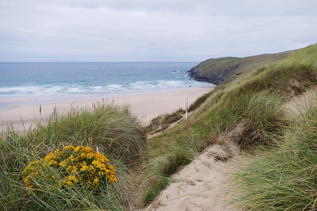 Arenas Penhale Cornwall Paisaje - Foto gratis en Pixabay - Pixabay