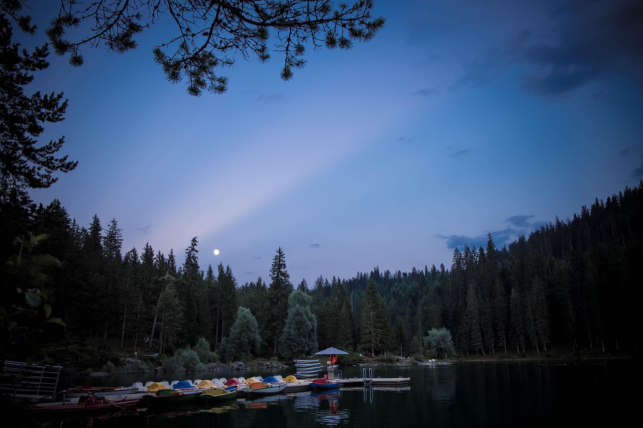 Plus de 80 000 photos gratuites de Bonne Nuit et de Nuit - Pixabay