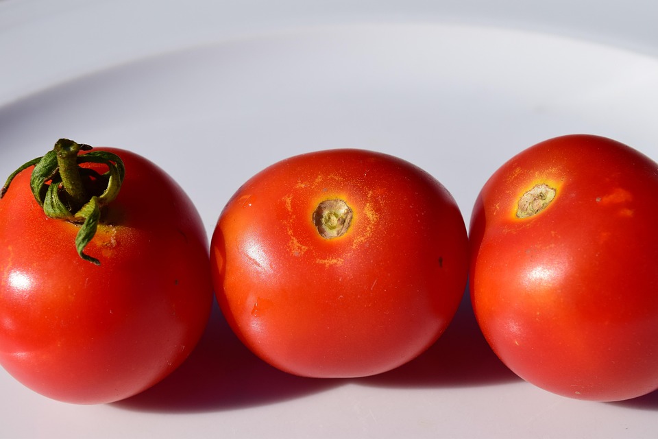 Tomatoes Plate Meal - Free photo on Pixabay - Pixabay
