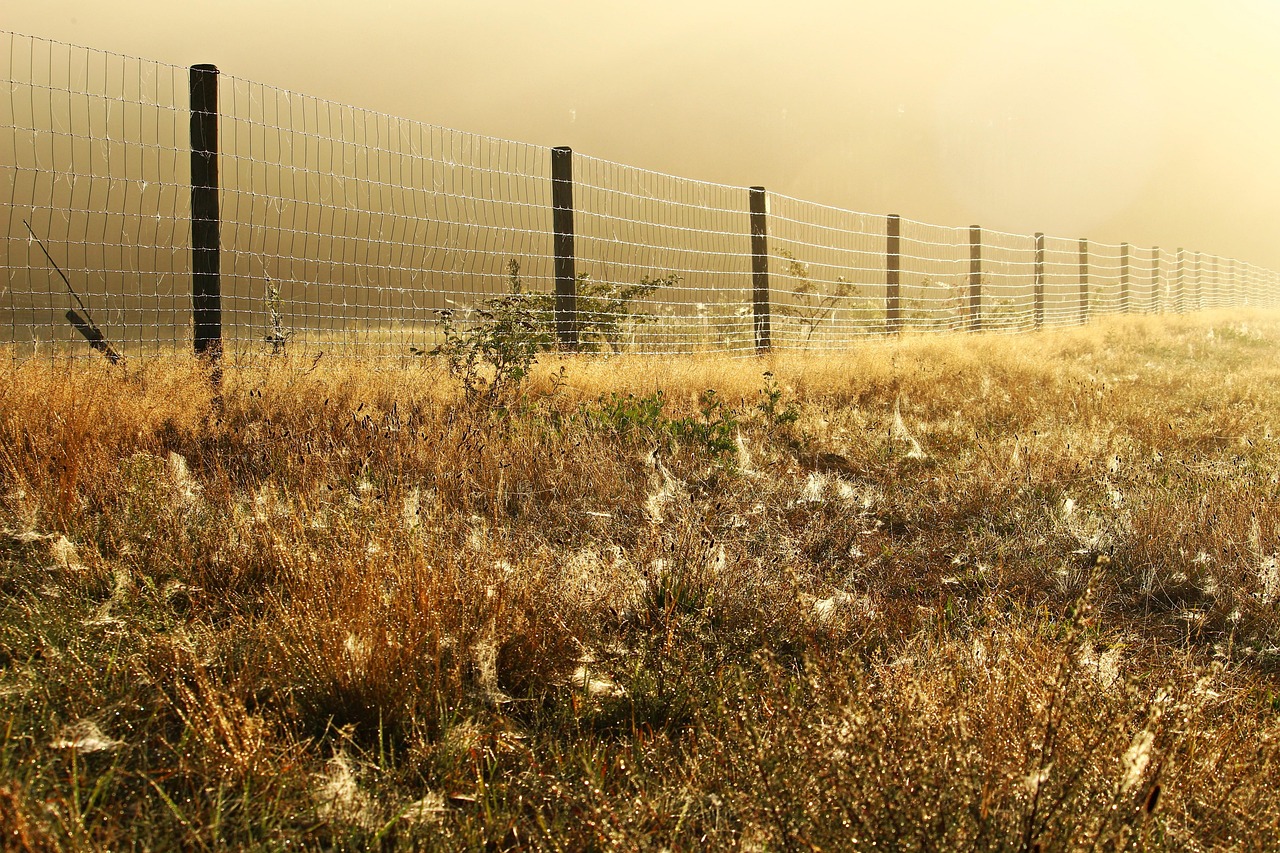 Path Fog Fence - Free photo on Pixabay - Pixabay