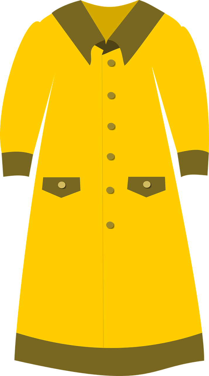 800 Beautiful Free Dress Vector Pixabay Pixabay