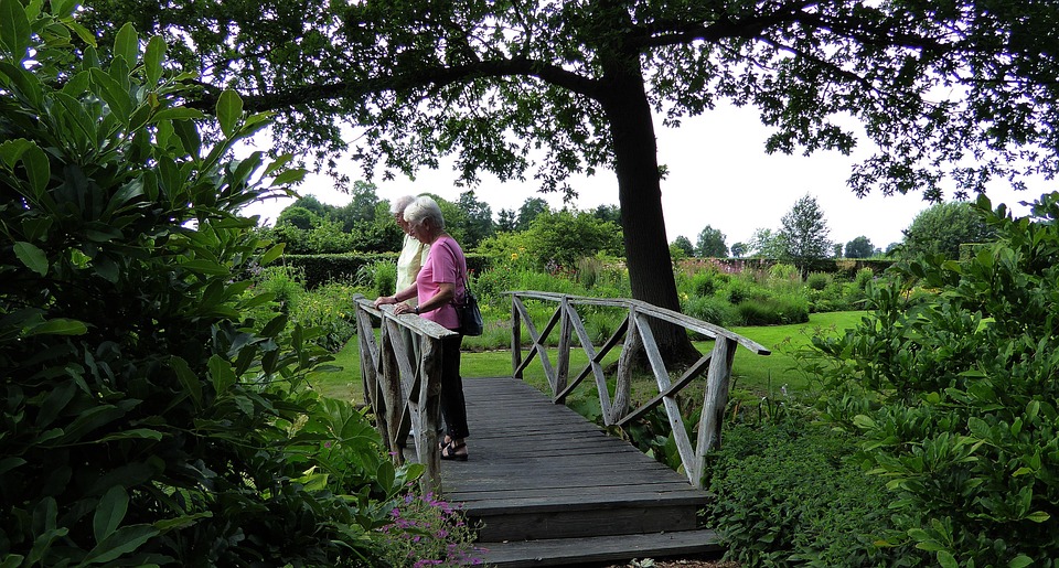 Holzbrücke Steg Natur - Kostenloses Foto auf Pixabay