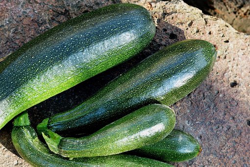 40+ Free Courgette & Zucchini Photos - Pixabay
