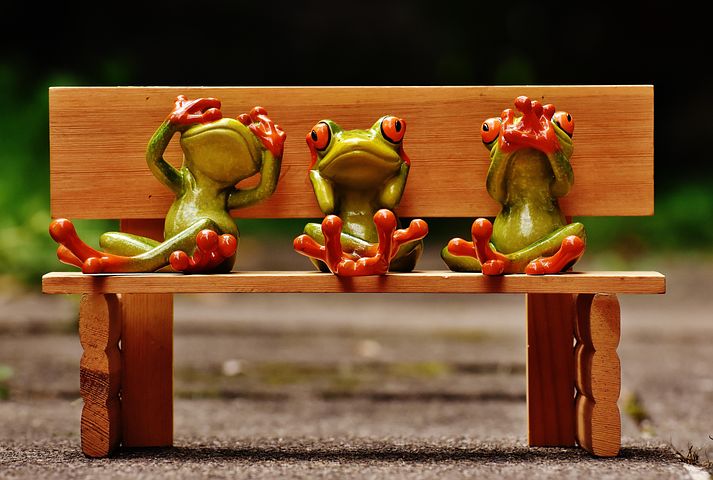 3,000+ Free Bench & Park Photos - Pixabay
