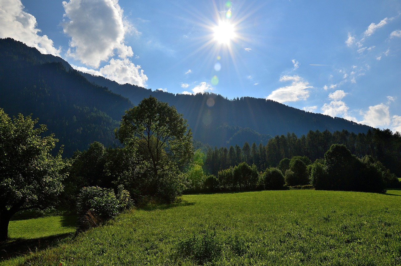 40+ Free Homme Saut Toit & Sautens Images - Pixabay
