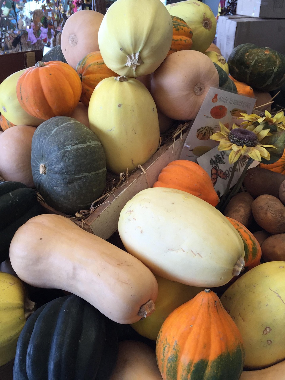 Citrouille Citrouilles - Photo gratuite sur Pixabay - Pixabay