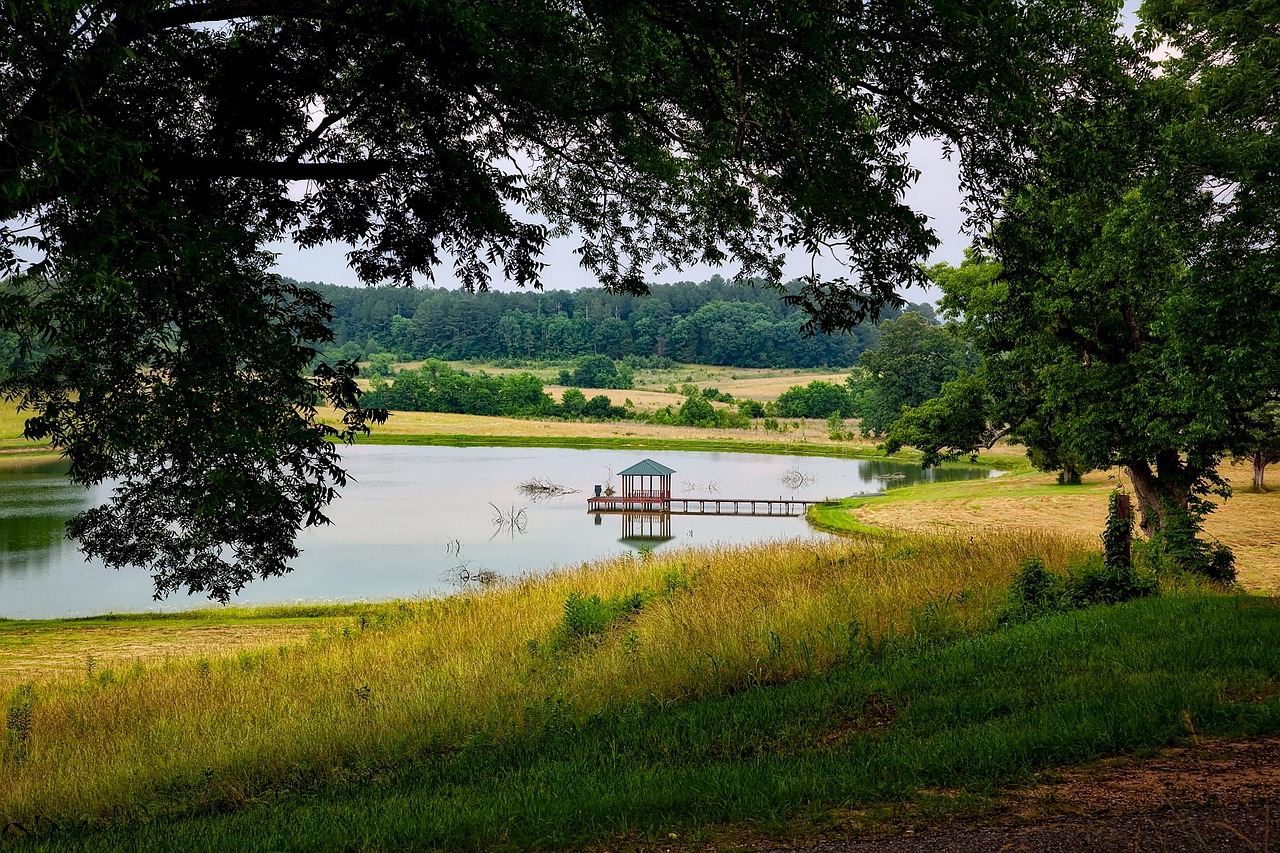 200+ Free Alabama & Nature Images - Pixabay