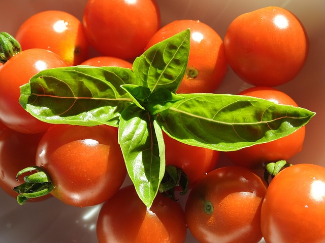 Meal Tomatoes Food - Free photo on Pixabay - Pixabay