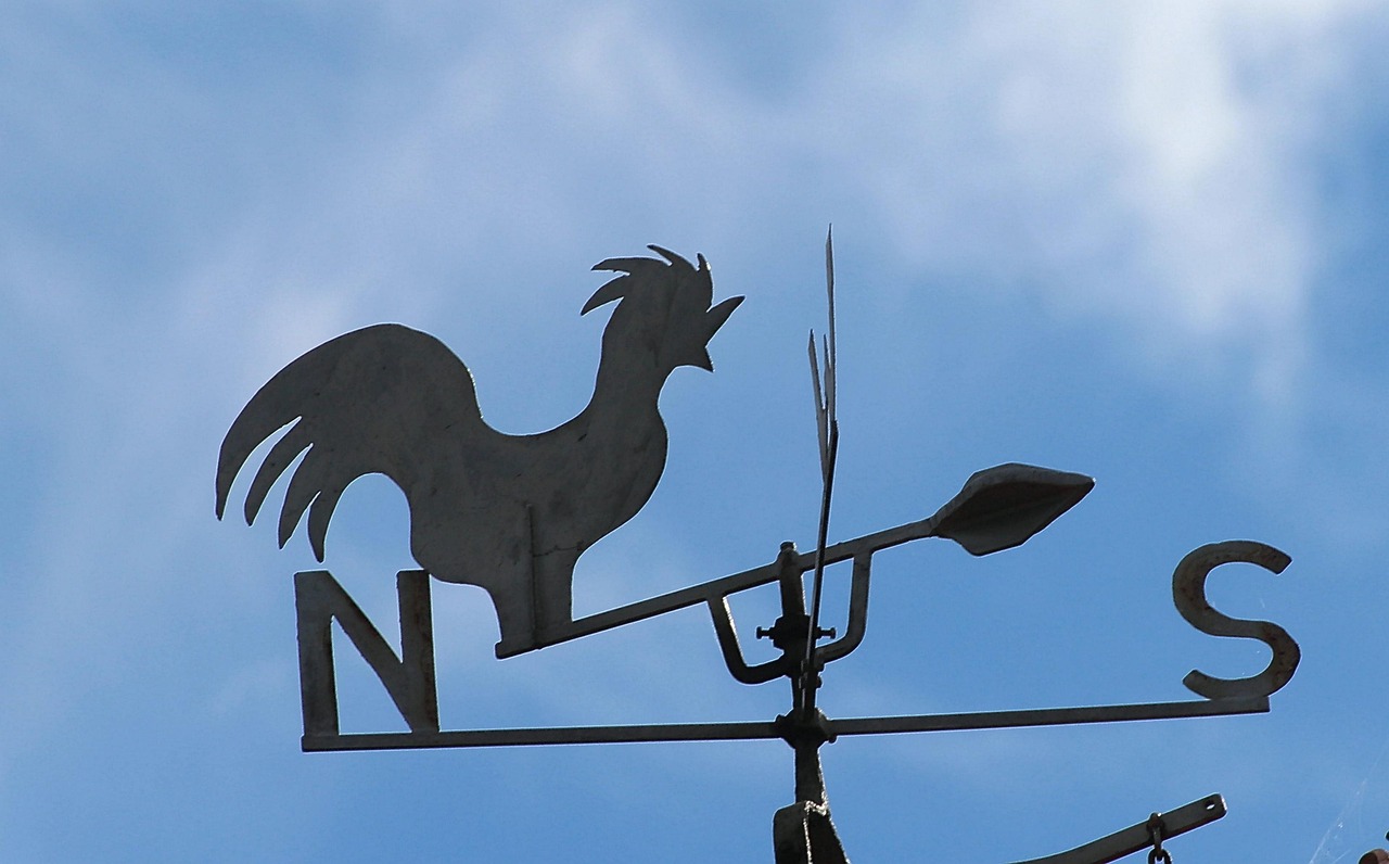 80+ Free Weathercock & Weather Vane Images - Pixabay
