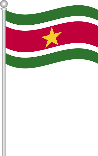Meer dan 10.000 gratis afbeeldingen van Surinaamse Vlag en Vlag - Pixabay