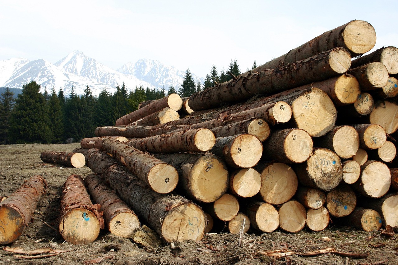 1,400,000+ Free Natural Calamities & Natural Images - Pixabay