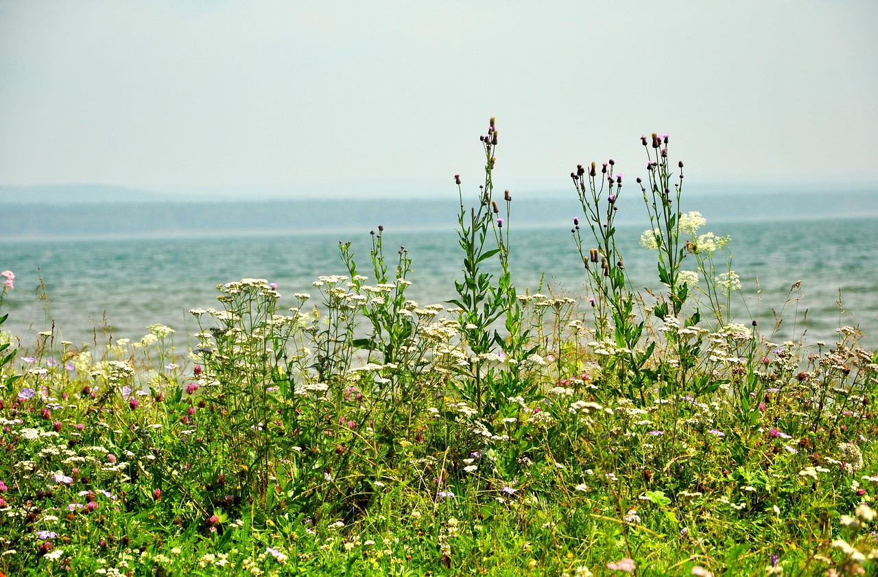 La Nature Mer L'Été - Photo gratuite sur Pixabay - Pixabay