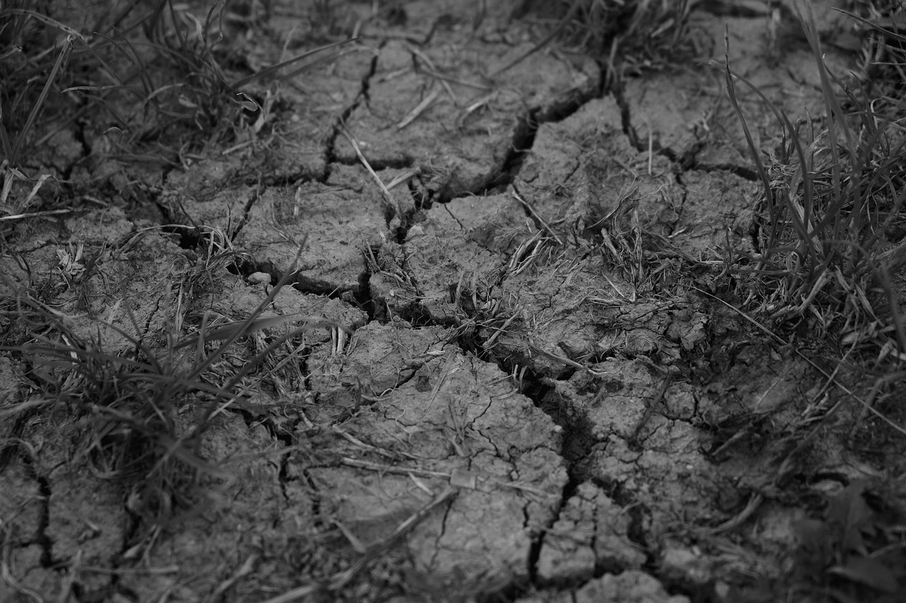 Drought Cracks Dried Out - Free photo on Pixabay