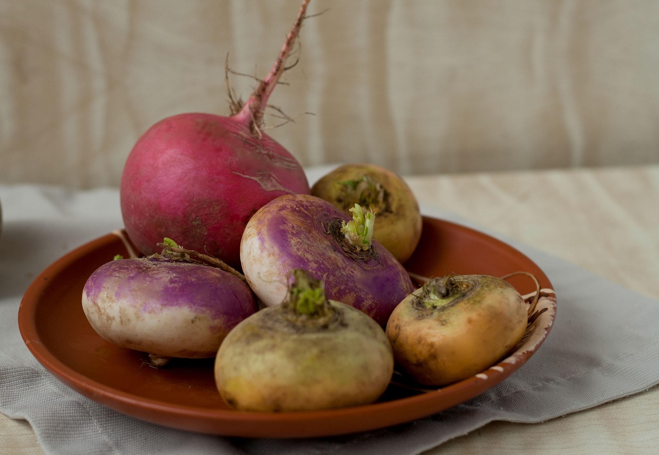 Turnip Radish Plate - Free photo on Pixabay - Pixabay