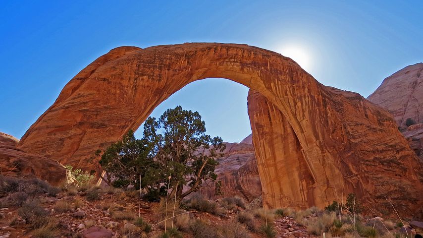 60+ Free Rainbow Bridge & Bridge Photos - Pixabay