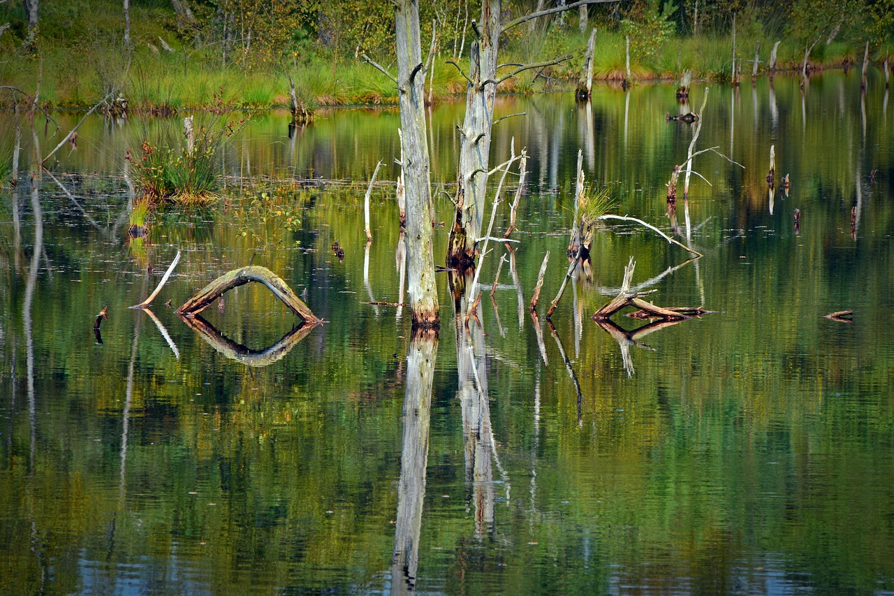 Moor Reflection Water - Free photo on Pixabay