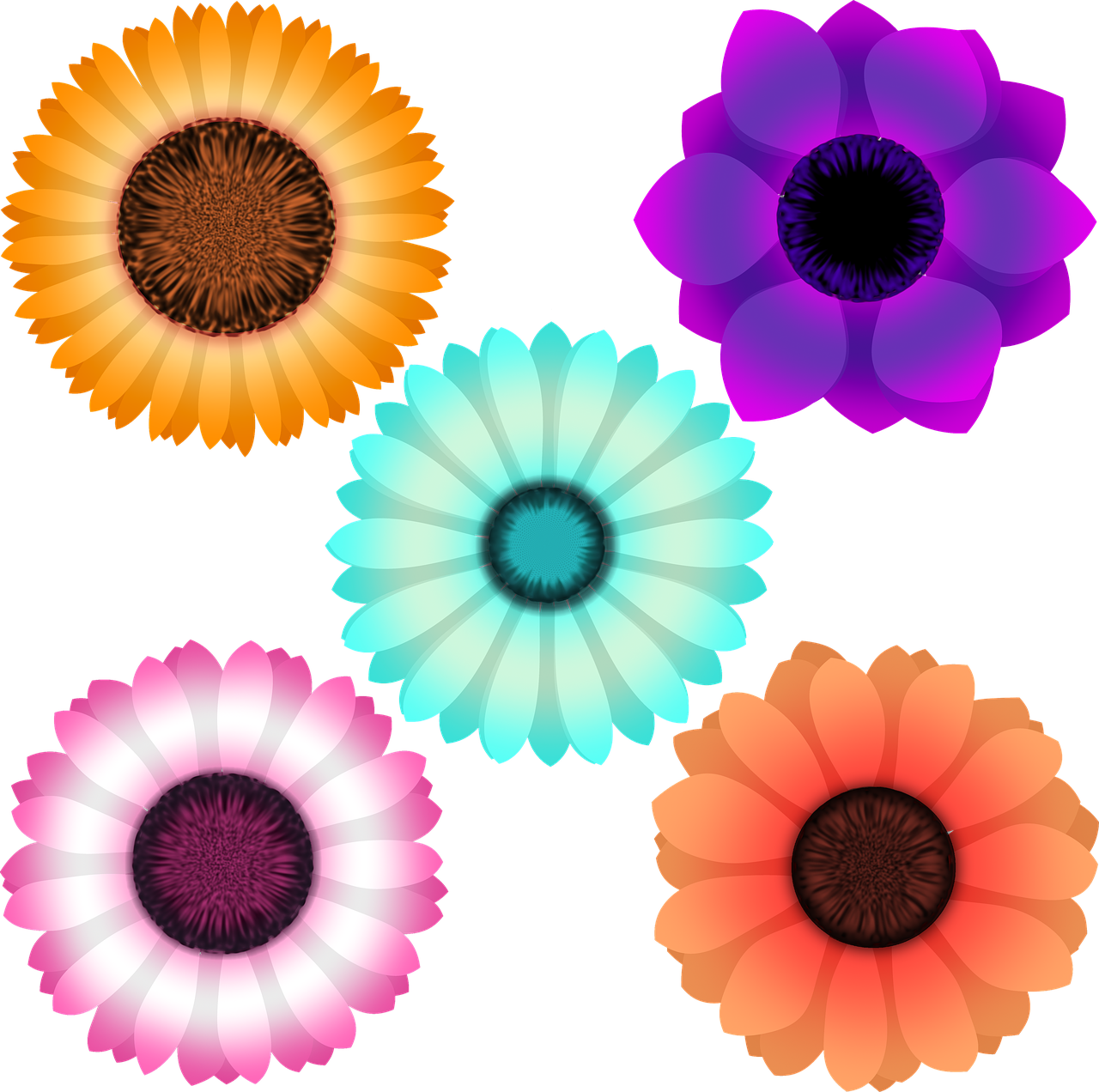 Download Flowers Daisy Sunflower Royalty-Free Stock Illustration Image ...