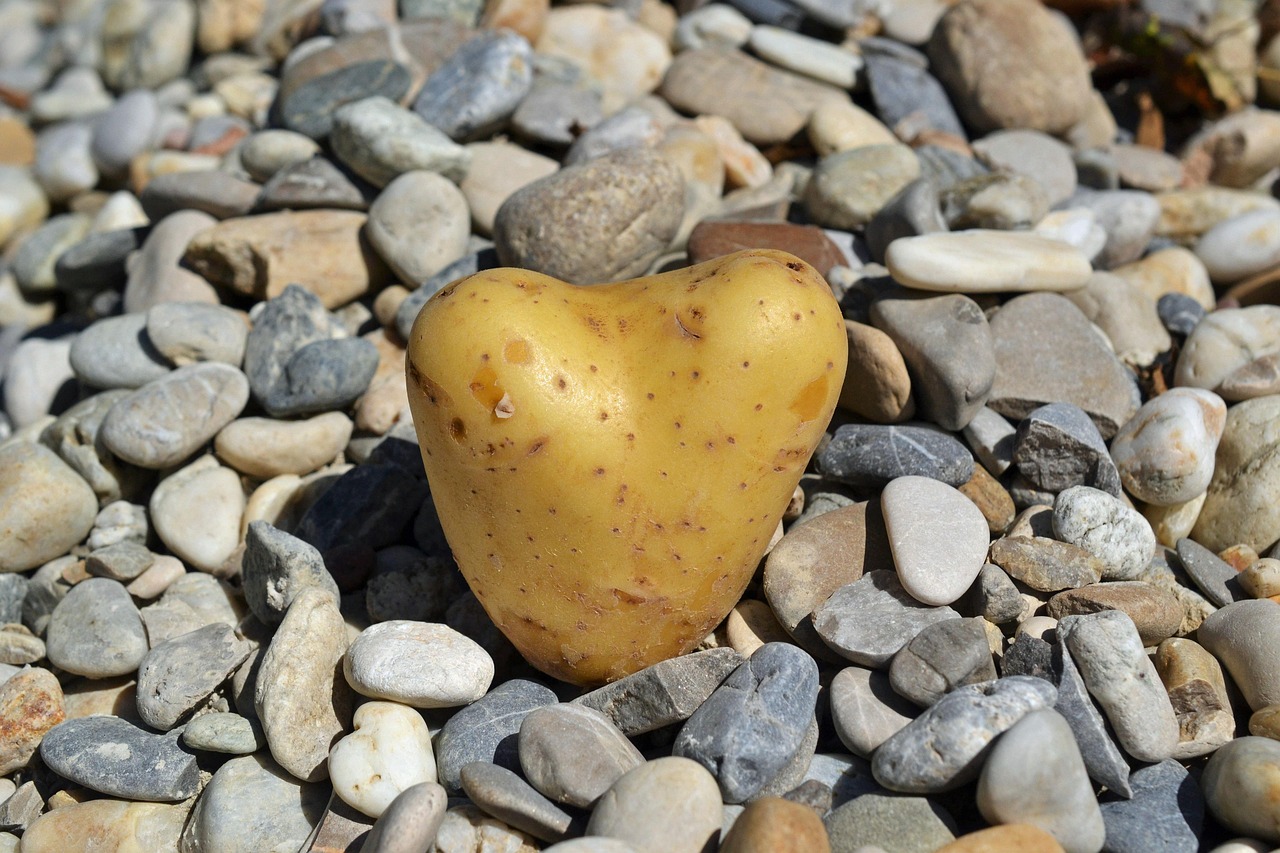 Heart Potato Love I Like - Free photo on Pixabay - Pixabay