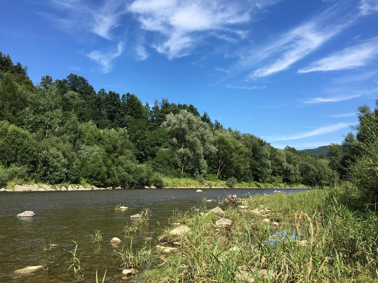 Fluss Wald Bäume - Kostenloses Foto auf Pixabay - Pixabay