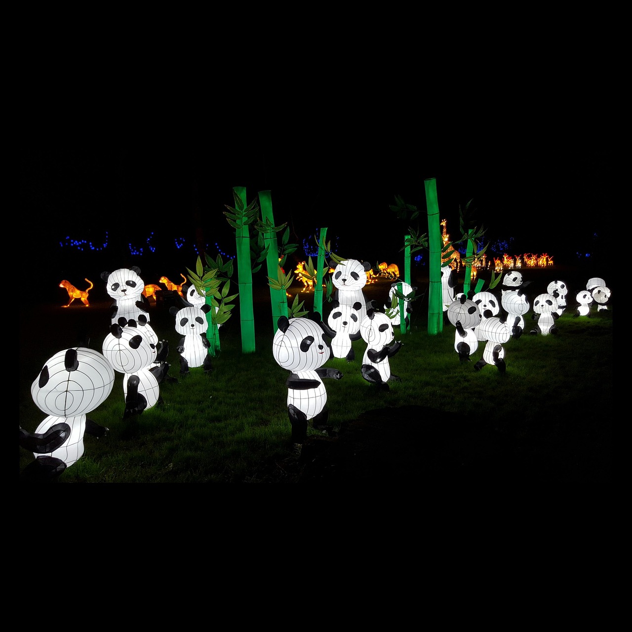 Panda Lanterns Cultural - Free photo on Pixabay - Pixabay