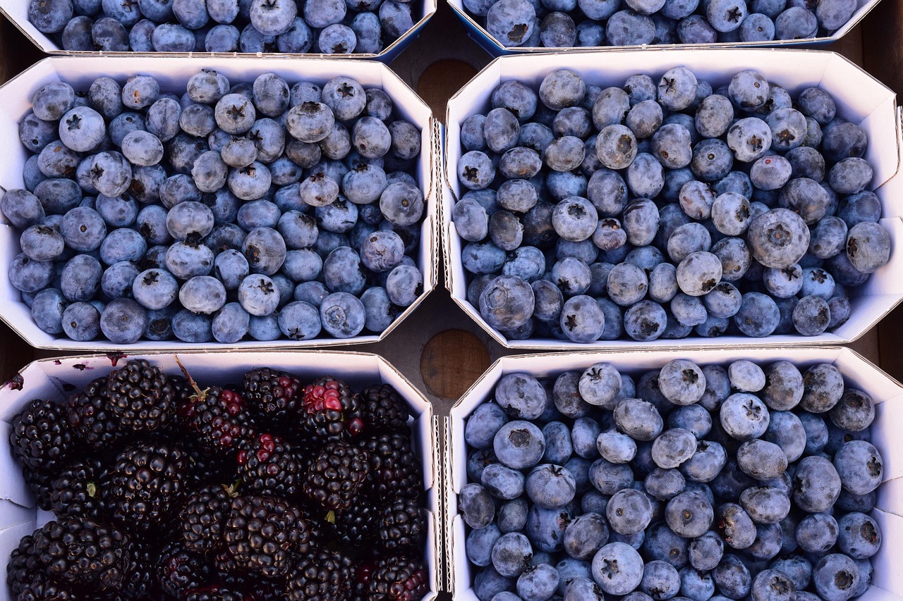 Berry Blueberries Blackberries - Free photo on Pixabay - Pixabay