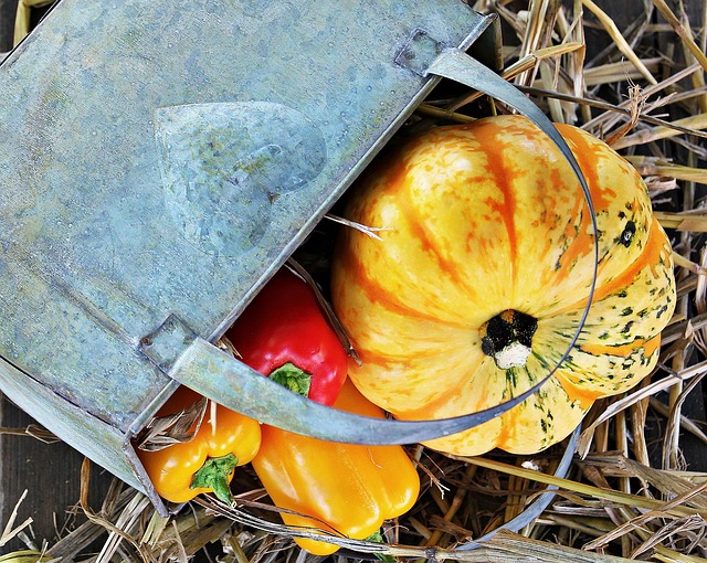 Thanksgiving Pumpkin Paprika - Free photo on Pixabay