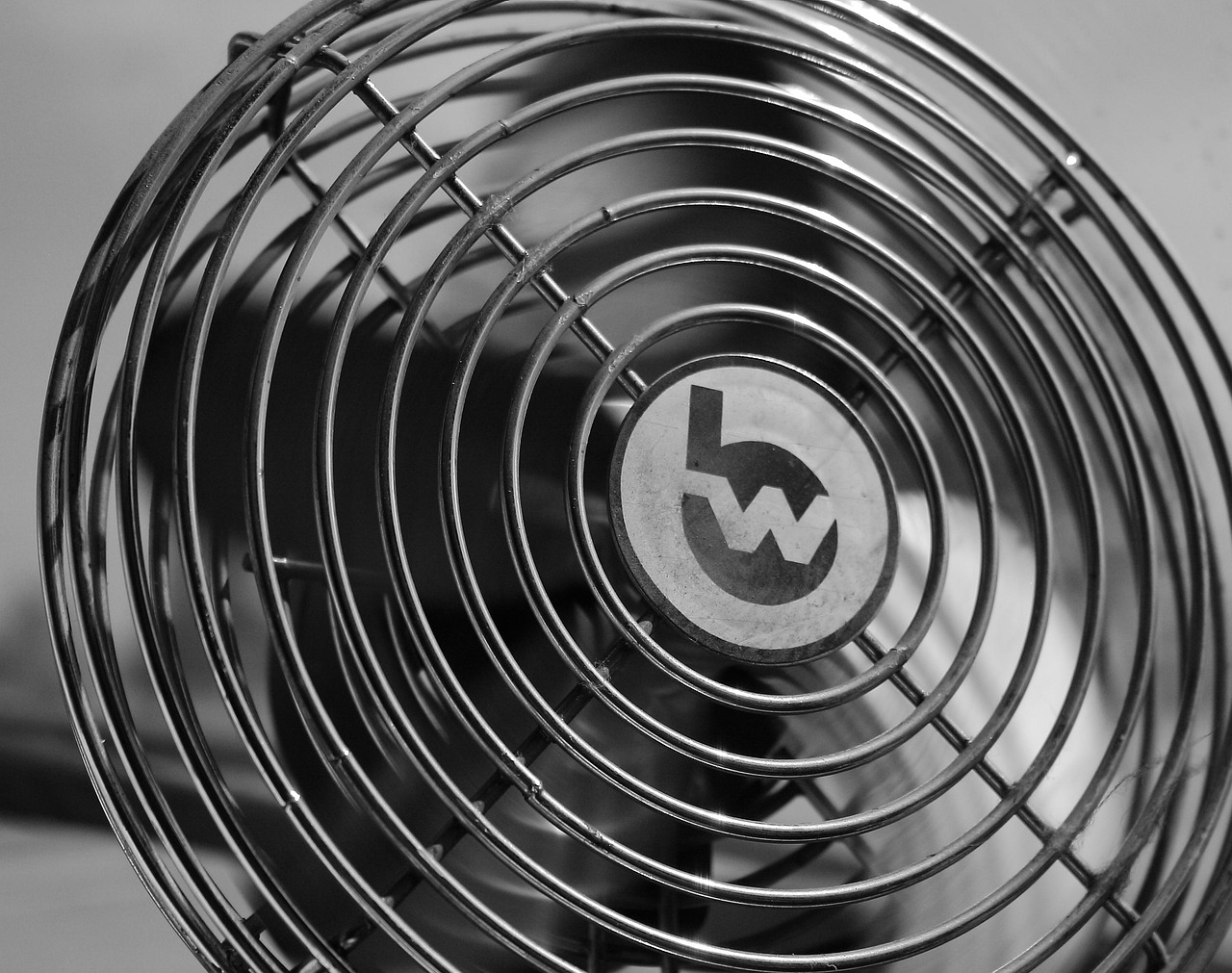 1,000+ Free Fan & Woman Photos - Pixabay