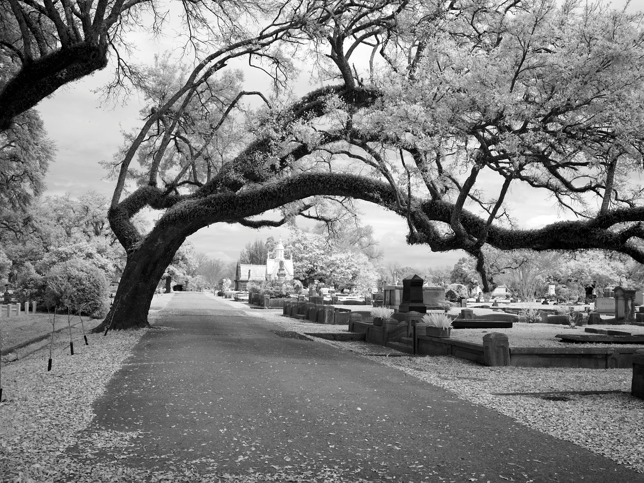 4,000+ Free Cemetery & Graveyard Images - Pixabay