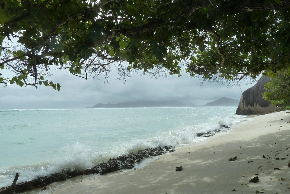 Sandy Beach Lonely Sea - Free photo on Pixabay