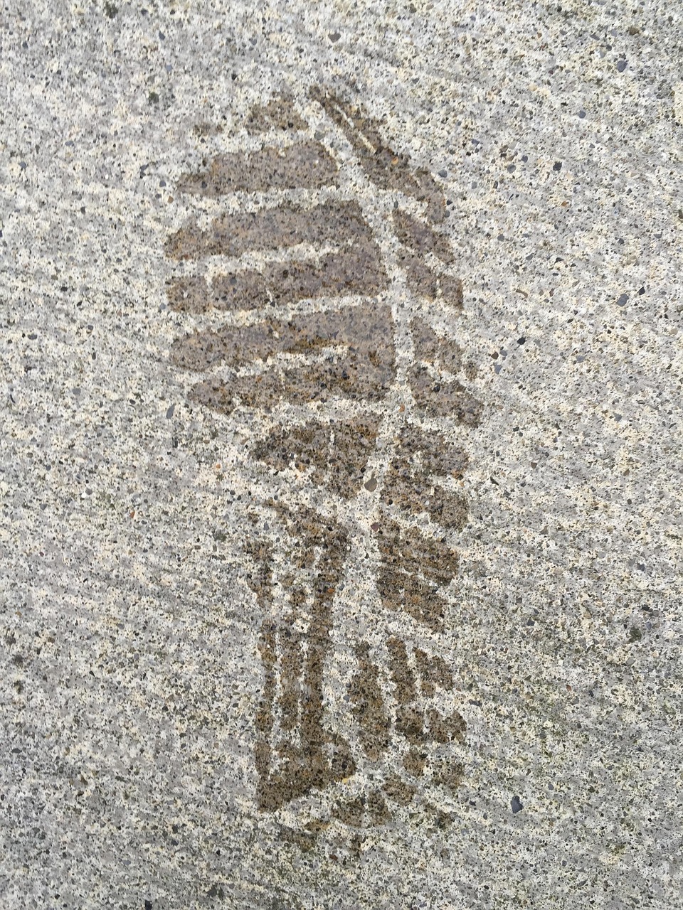 100+ Free Foot Print & Foot Images - Pixabay