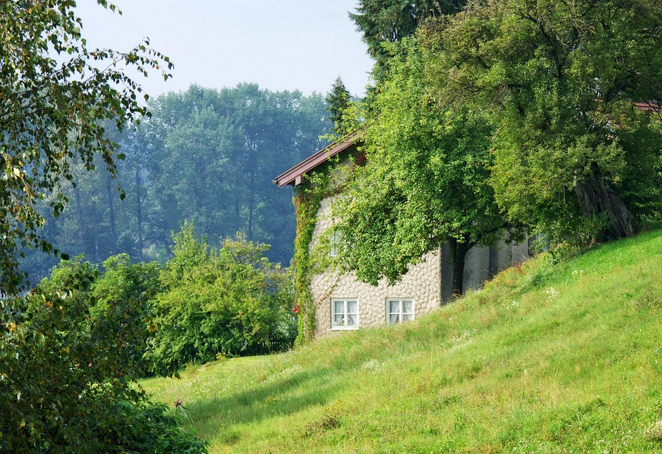 Nature House Green - Free photo on Pixabay
