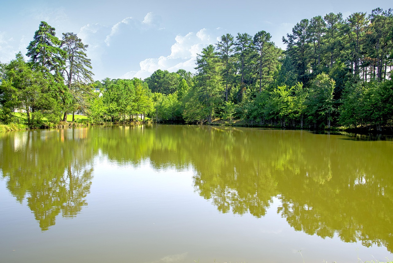100+ Free Atlanta & Georgia Images - Pixabay