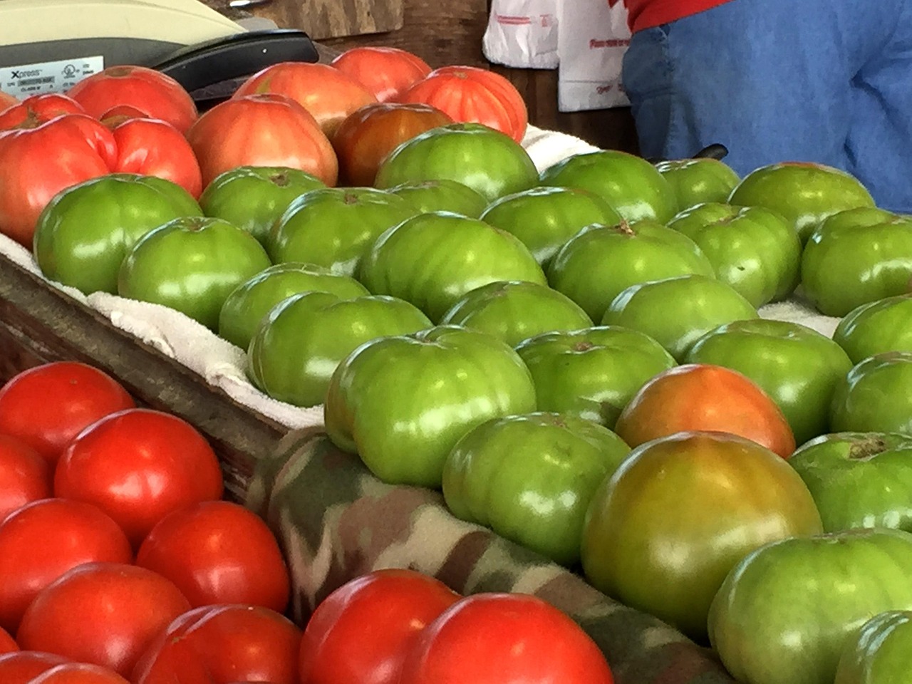 Farmers Market Tomatoes Garden - Free photo on Pixabay - Pixabay
