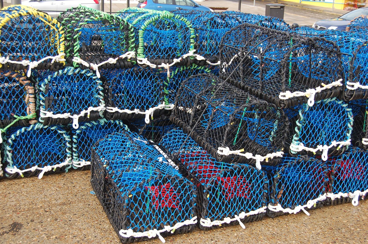 Fishing Nets Fisherman - Free photo on Pixabay - Pixabay