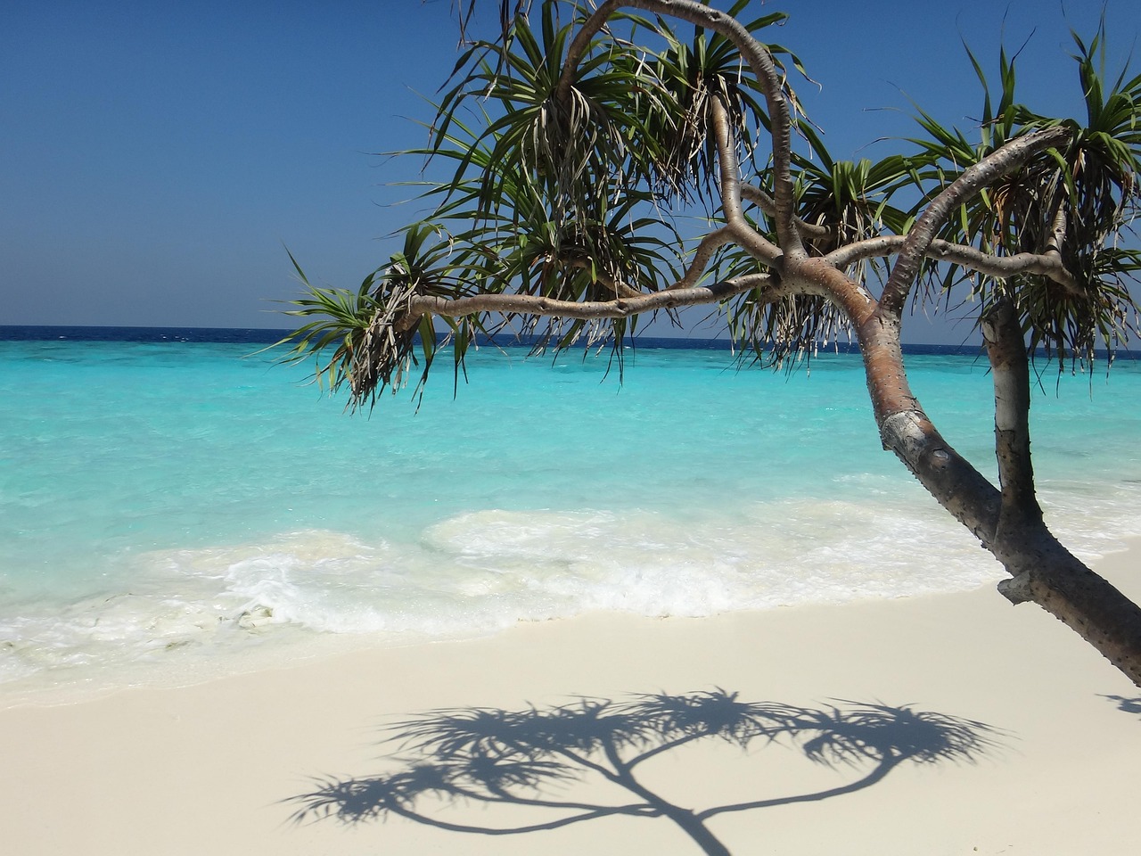 900+ Maldives Images & Pictures [HD] - Pixabay