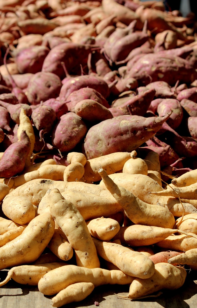 Yam Potato White - Free photo on Pixabay