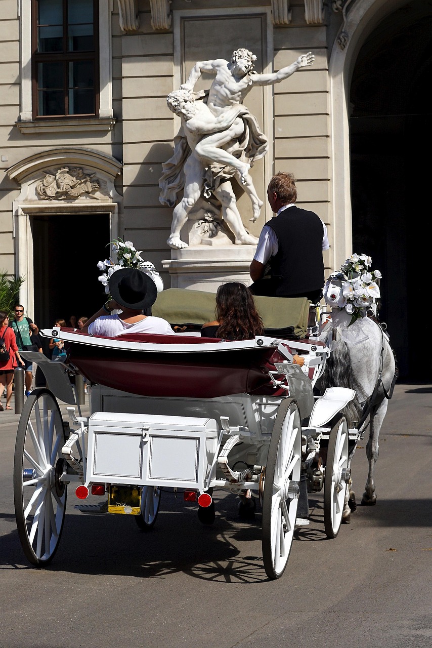 Wien Pferdekutsche Österreich - Kostenloses Foto auf Pixabay - Pixabay