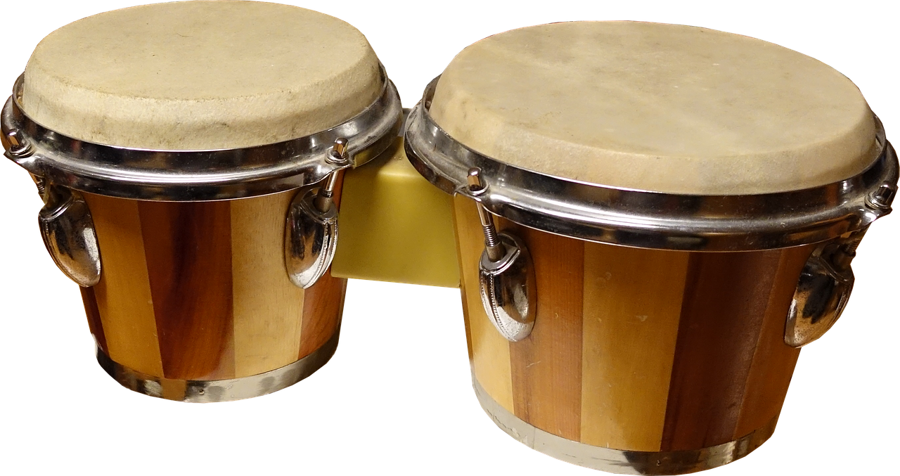 bongo drum facts