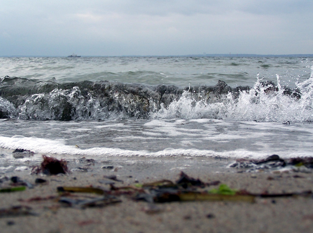 Baltic Sea Fur Hooks Germany - Free photo on Pixabay - Pixabay