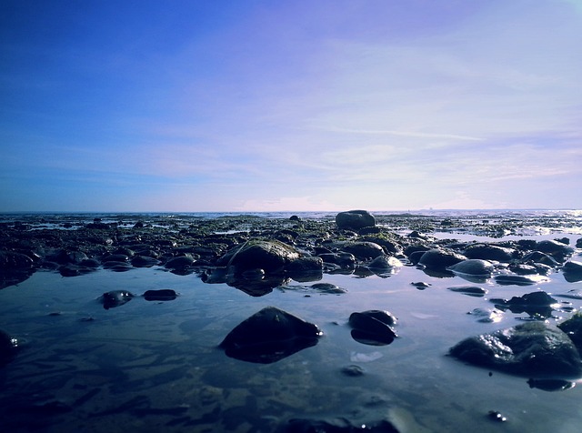Mer Baltique Allemagne L'Europe - Photo gratuite sur Pixabay - Pixabay