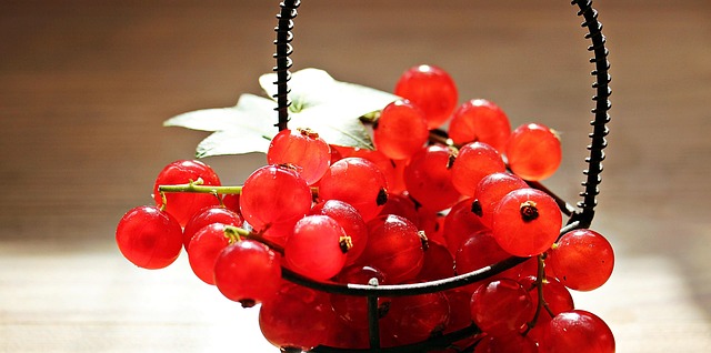 Grosellas Fruta Grosella - Foto gratis en Pixabay - Pixabay