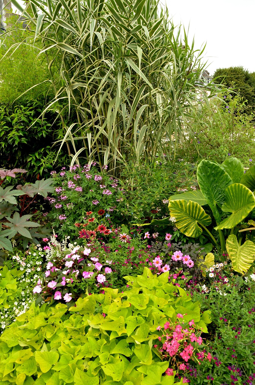 Jardin Plante Fleur - Photo gratuite sur Pixabay - Pixabay