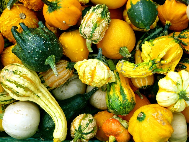 Citrouilles Tombe Des Légumes - Photo gratuite sur Pixabay - Pixabay