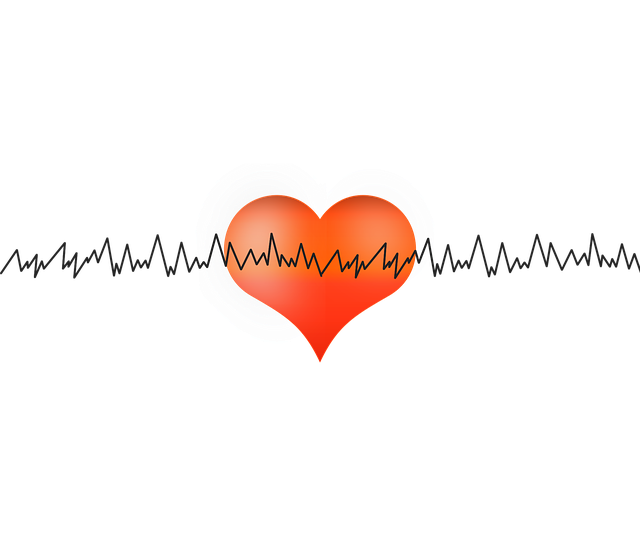 Más de 100 imágenes gratis de Cardiologia y Cardiología - Pixabay