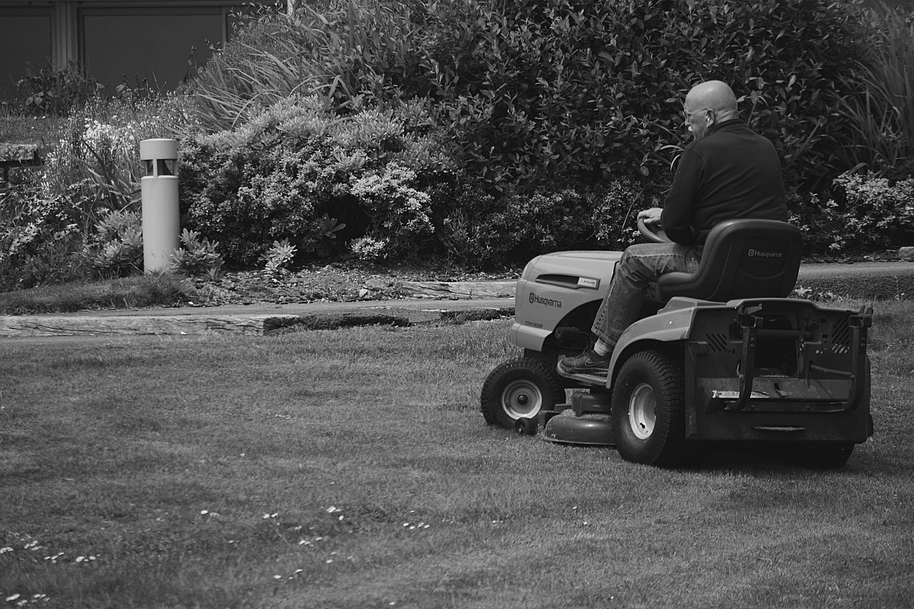 100,000+ Free Man Mowing Grass & Grass Photos - Pixabay