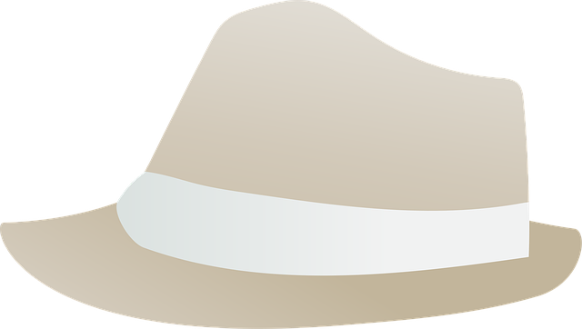 Download Hat, Headgear, Fashion. Royalty-Free Vector Graphic - Pixabay
