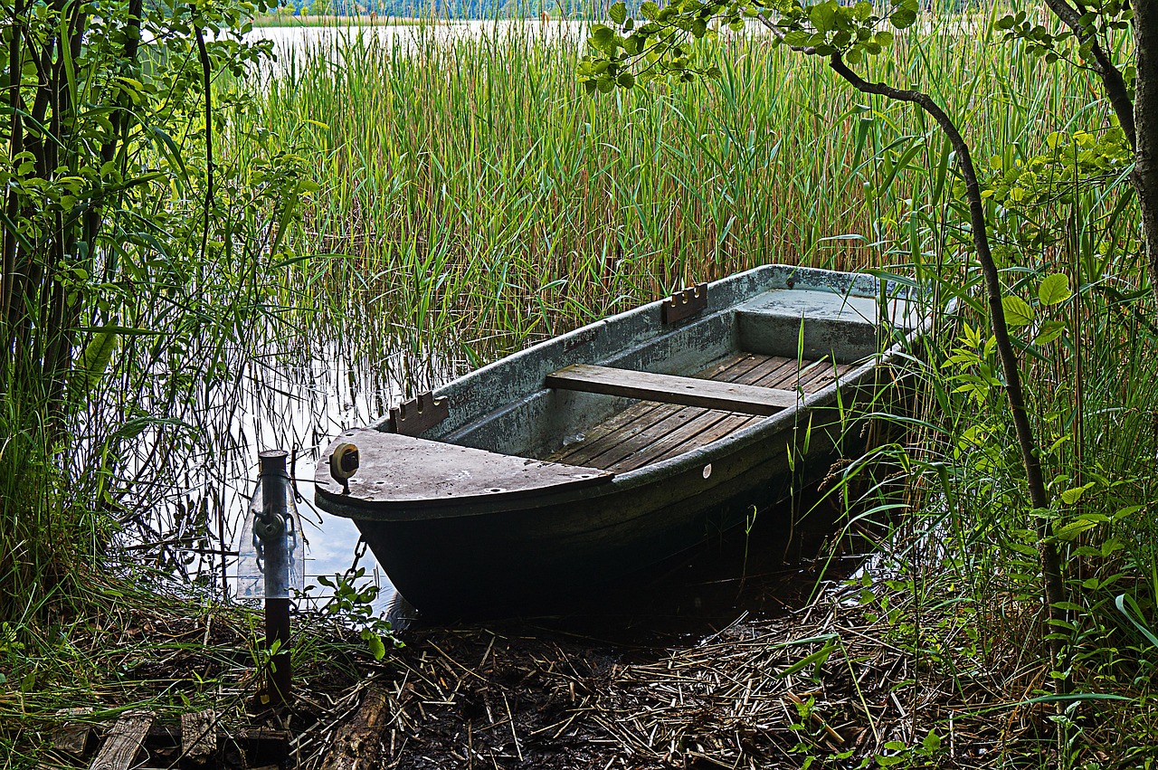 Perahu Tanaman Danau - Foto gratis di Pixabay - Pixabay