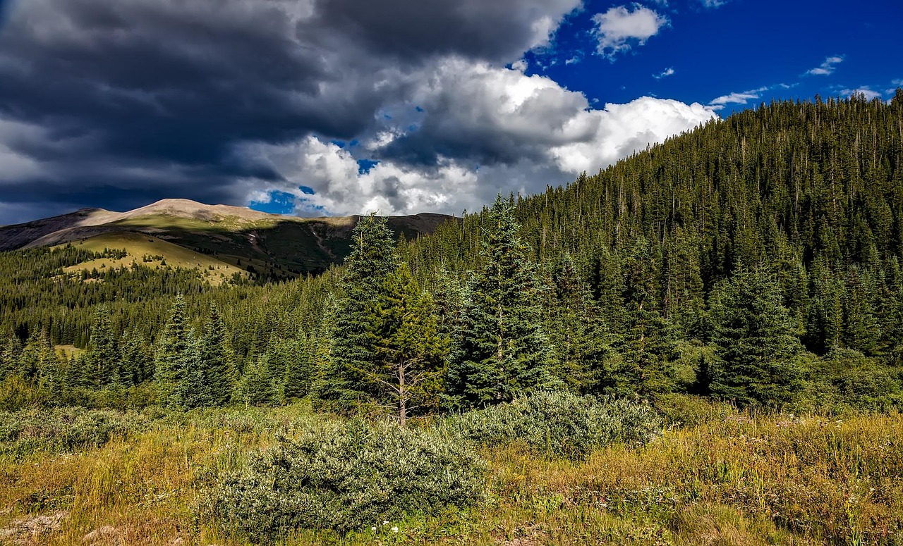 Colorado Montanhas Rochosas - Foto gratuita no Pixabay - Pixabay