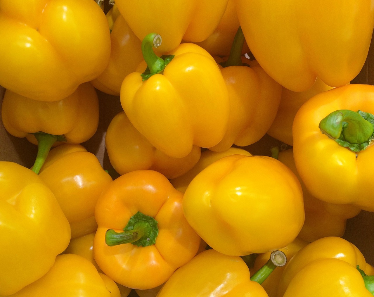 Paprika Kuning Huang - Foto gratis di Pixabay - Pixabay